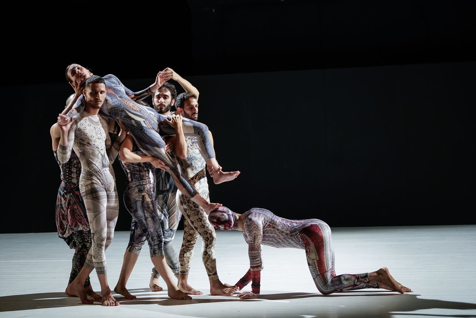 DAP Festival | Shahar Binyamini