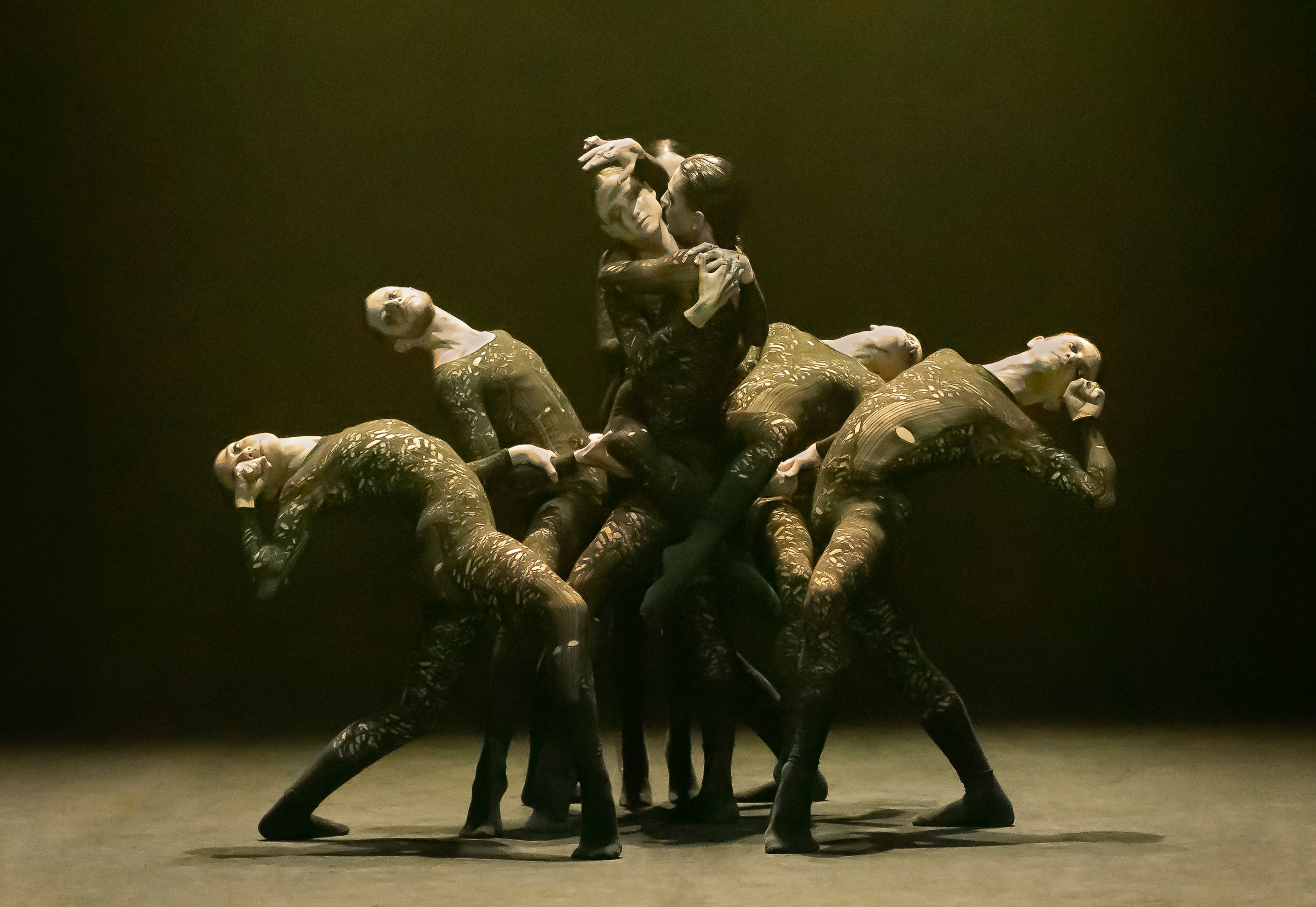 Into The Hairy | Sharon Eyal & Gai Behar